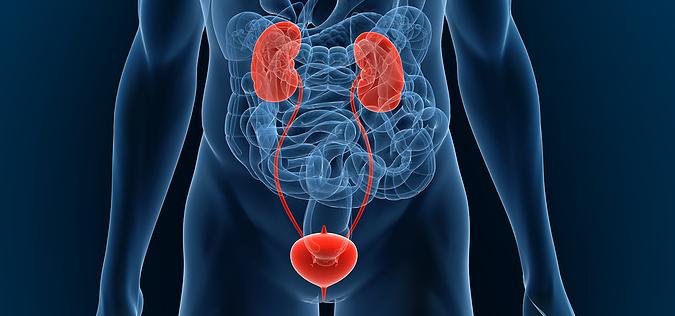 Uretritida » Medixa.org